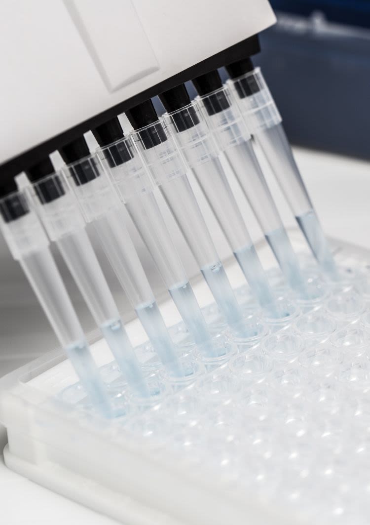 Computational Science and Genomics